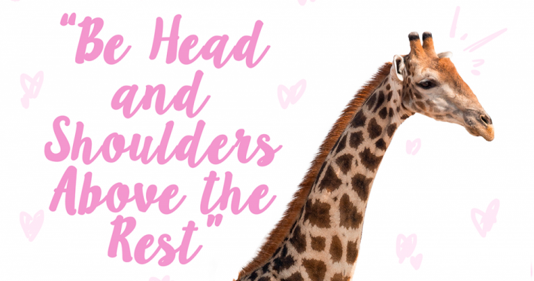 6 Pieces of Advice from a Giraffe | Showstopper Magazine Online