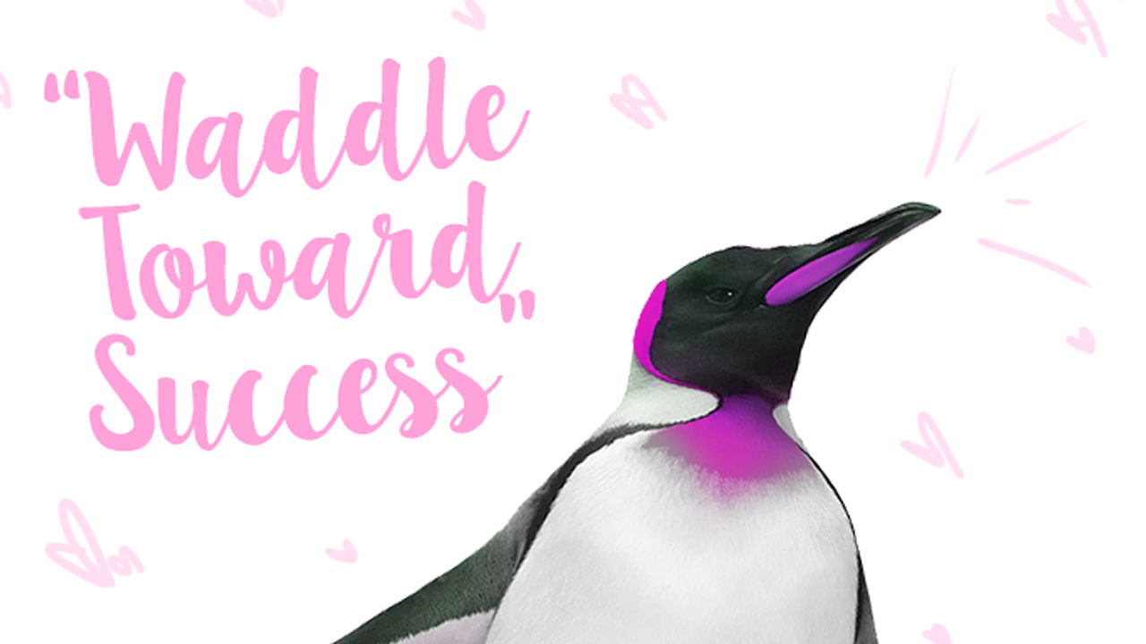 6 Pieces of Advice from a Penguin | Showstopper Magazine Online